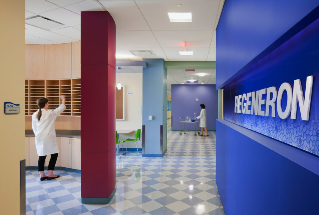 Regeneron Pharmaceuticals - Campus Lab and Workplace Renovations - BAM ...